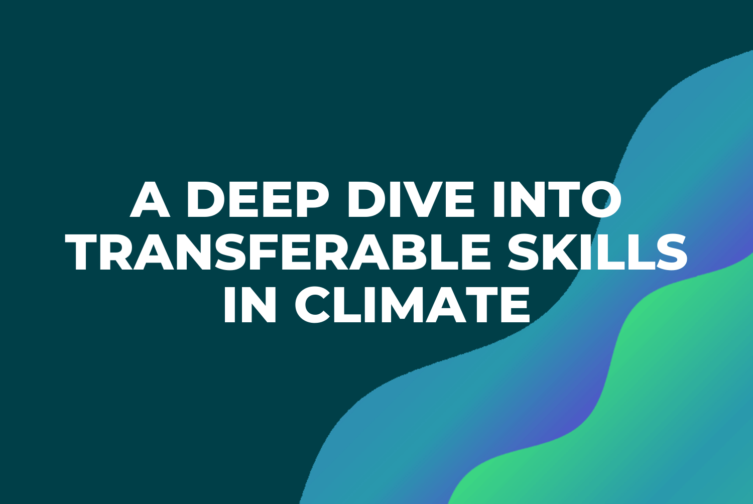 Unlocking The Power Of Transferable Skills Blogs Climate People